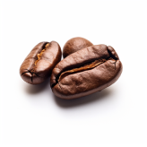 JCtrans Network-International Freight Forwarders Network